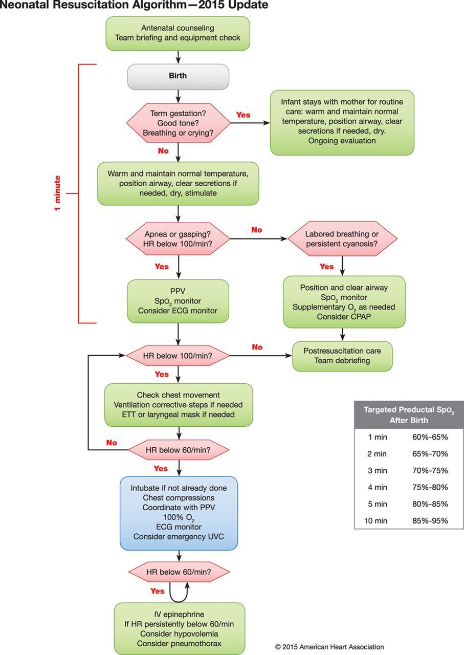 Newborn Resuscitation | Internet Book of Emergency Medicine